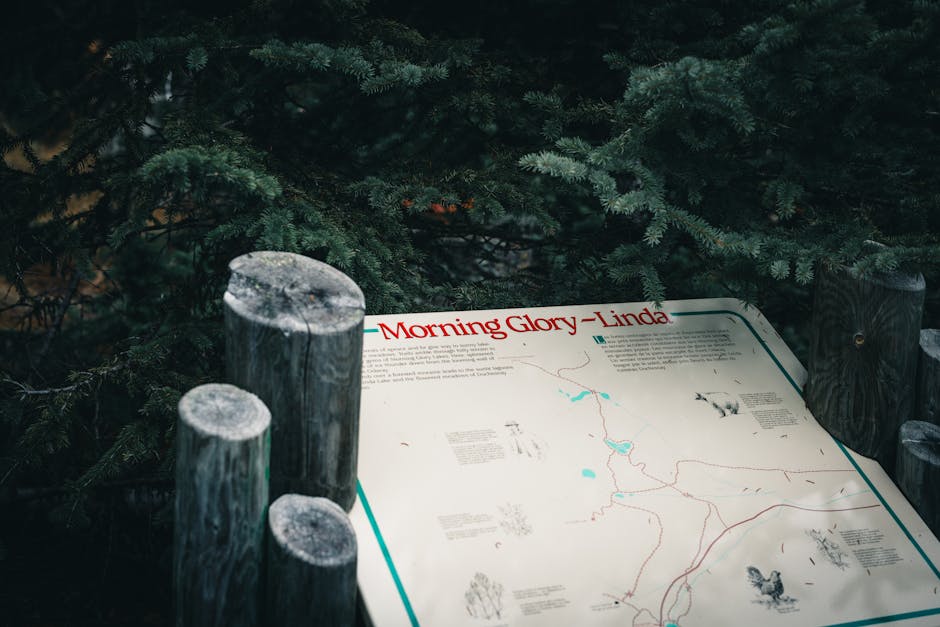 Exploring the National Parks by RV: A Beginner's Guide